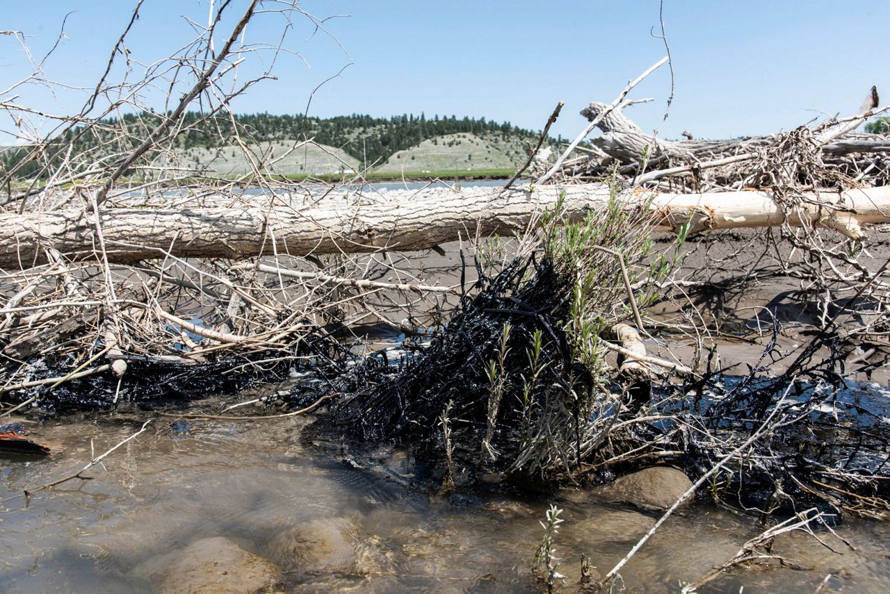 Cleanup begins after asphalt binder spill into Montana's Yellowstone ...