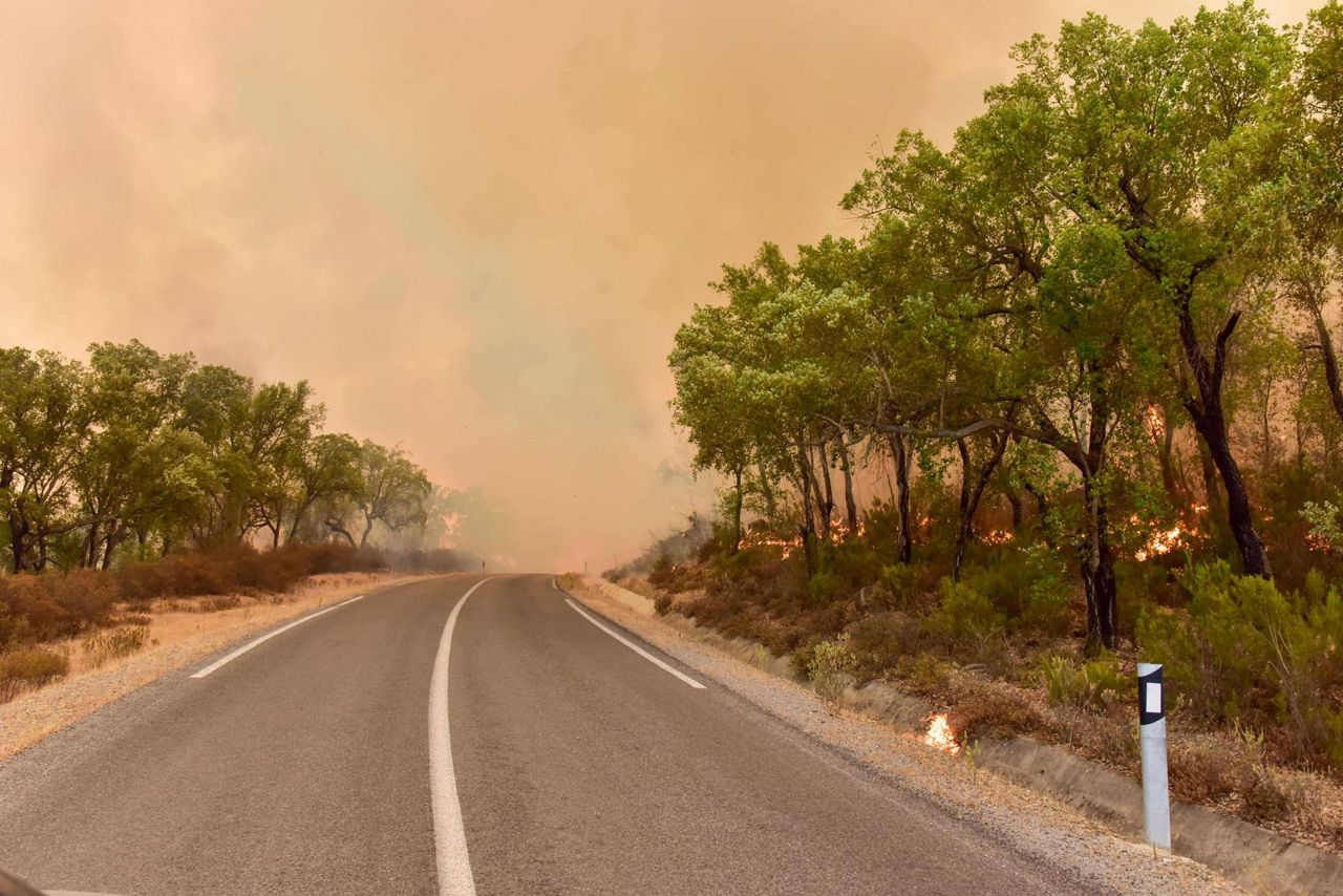 Moroccan soldiers, firefighters battle fires in the north