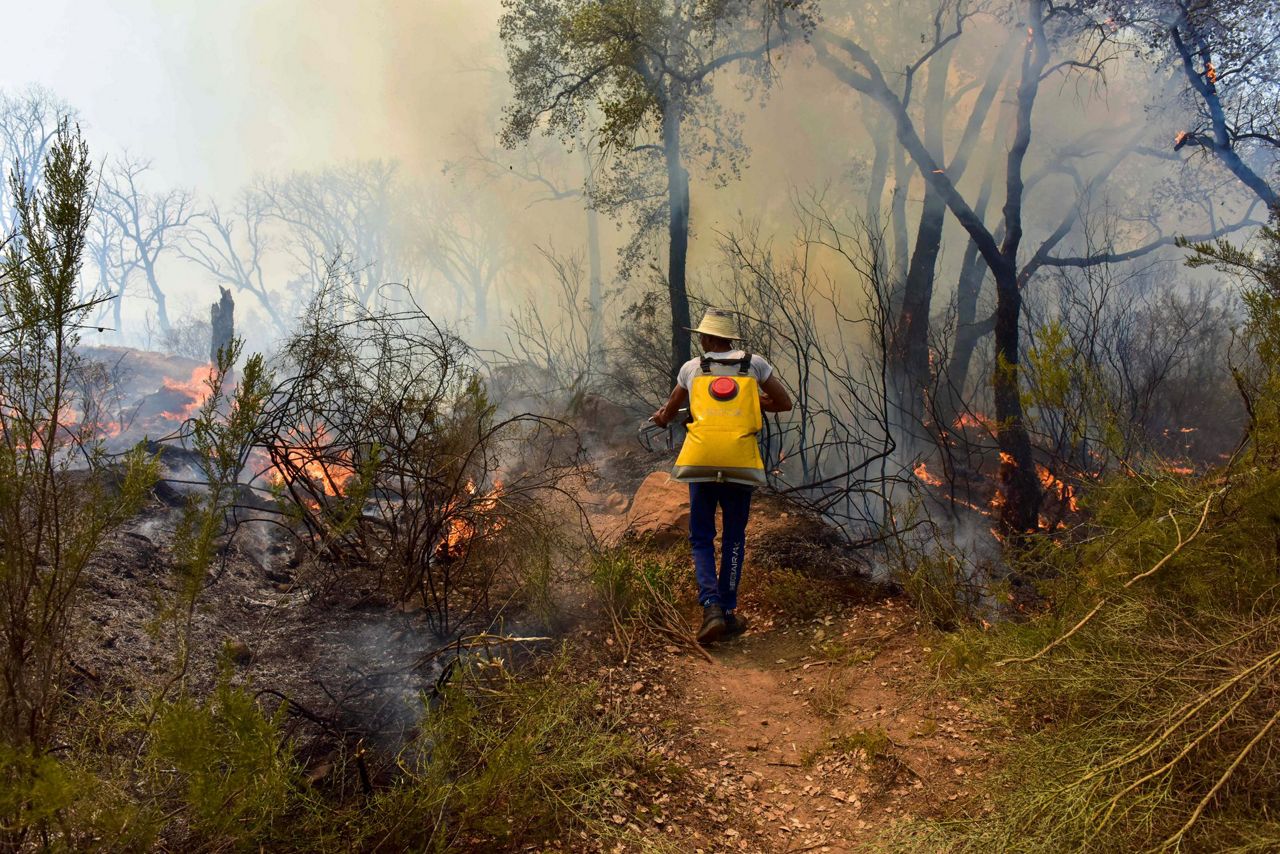 Moroccan soldiers, firefighters battle fires in the north