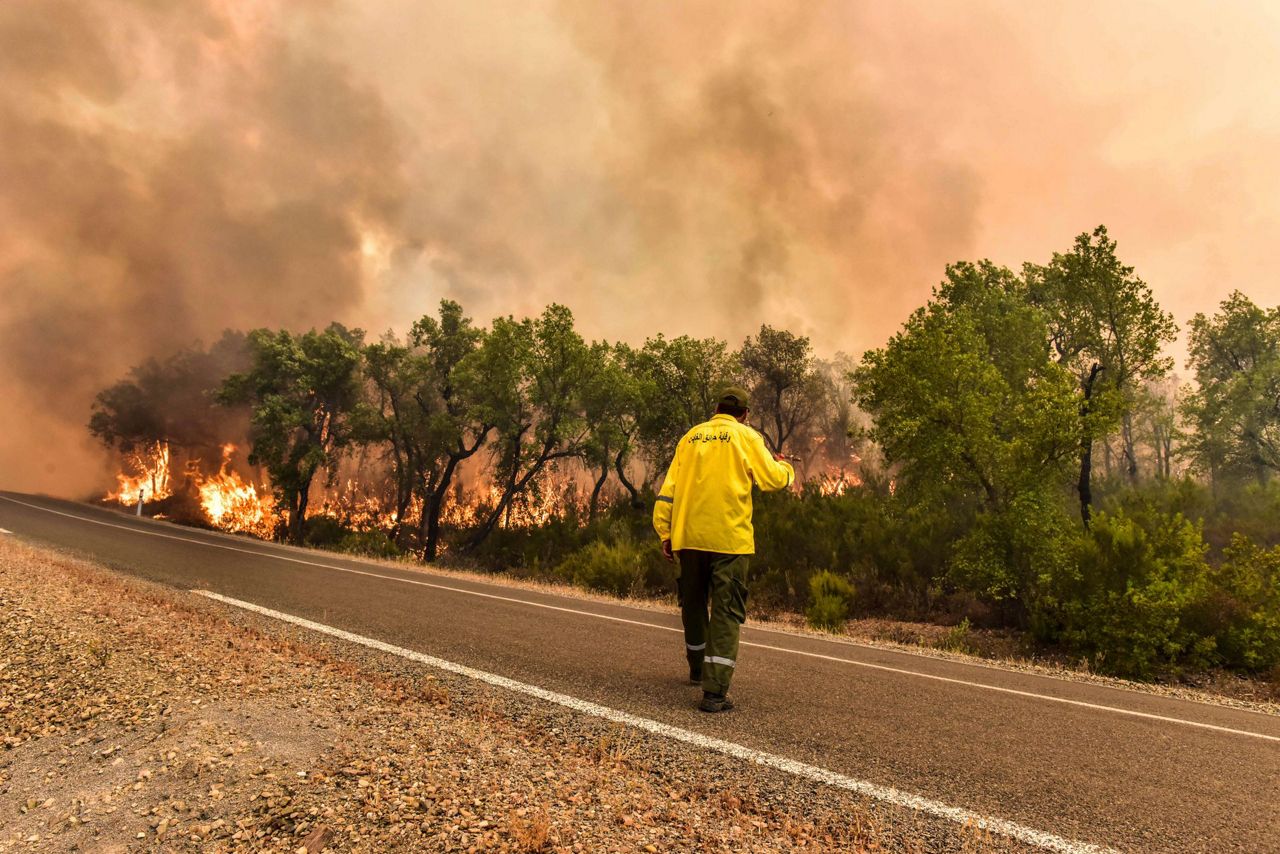 Moroccan soldiers, firefighters battle fires in the north