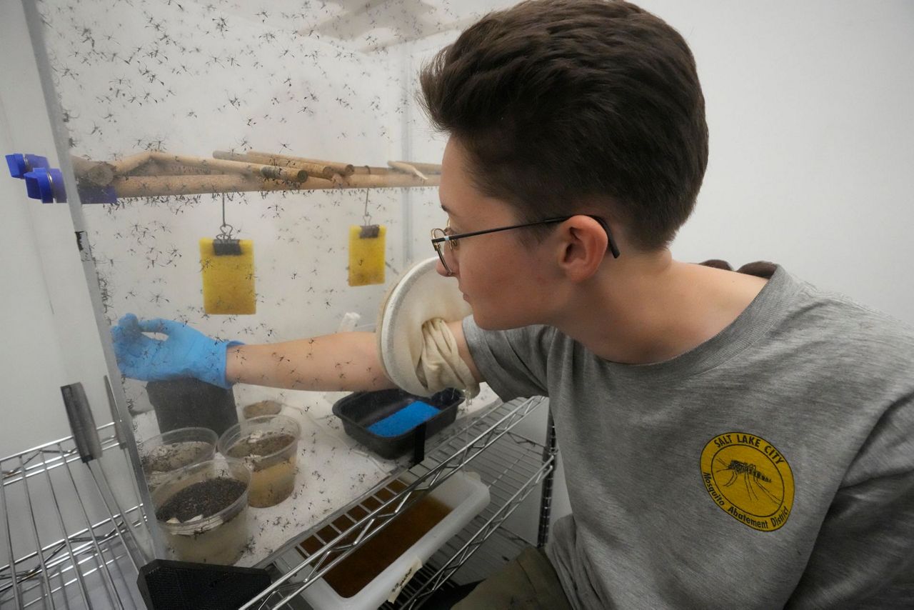 Let skeeters feed on you for science? Welcome to front lines of ...