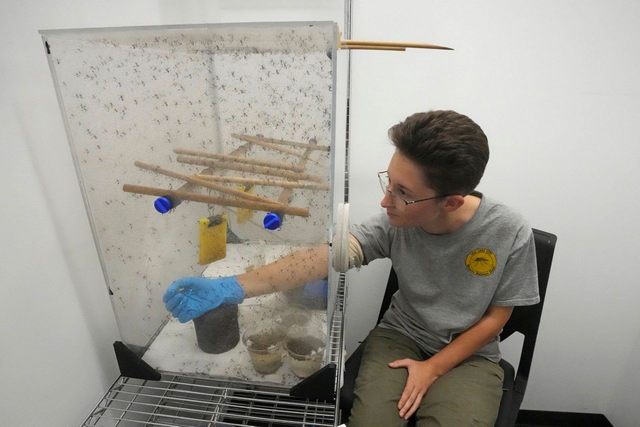 Let skeeters feed on you for science? Welcome to front lines of ...