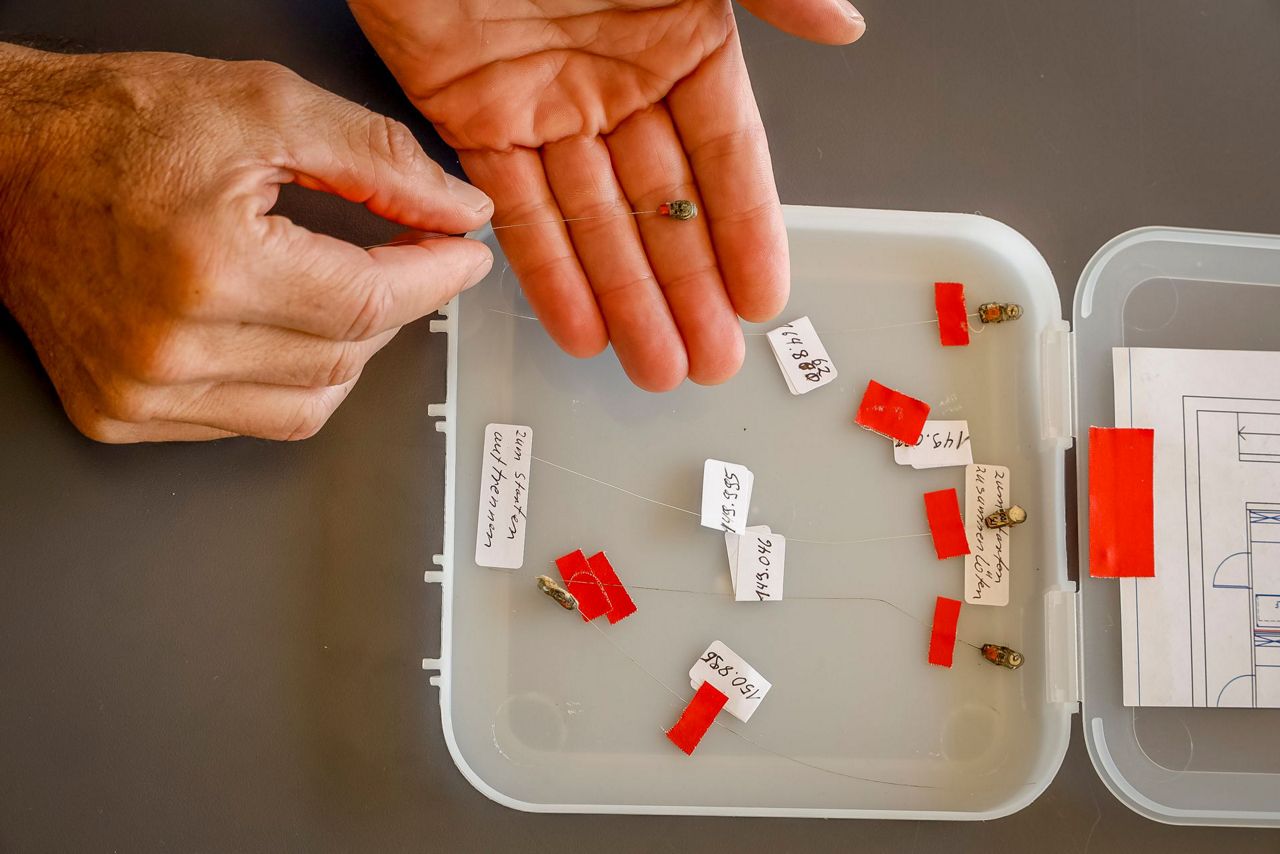 Scientists use tiny trackers, plane to follow moths on move