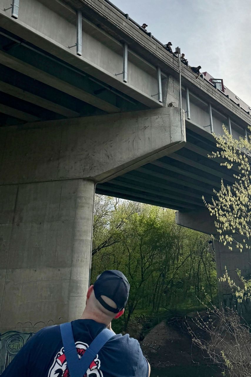 Mountain goat stuck under Kansas City bridge survives rocky rescue