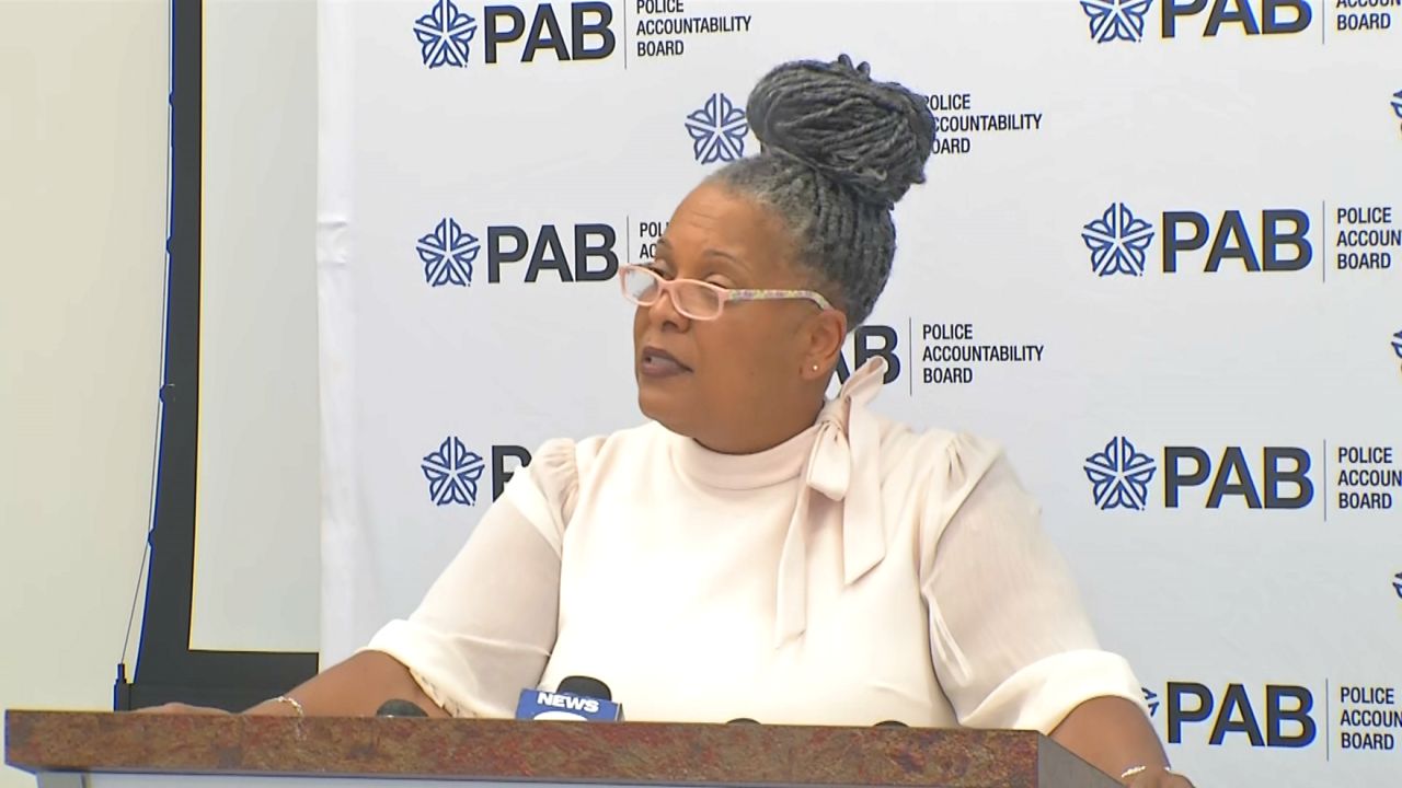 Rochester City Council questions PAB director candidate