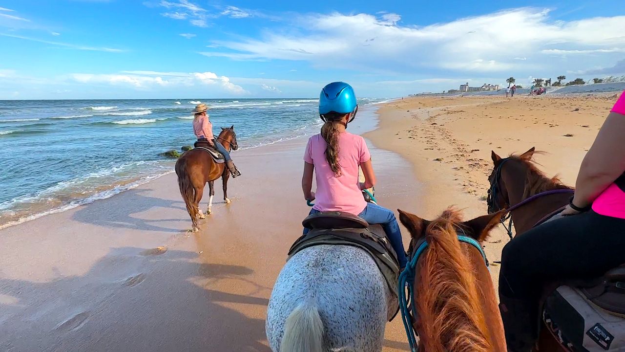 Ride horses on Flagler beaches with Equestrian Adventures