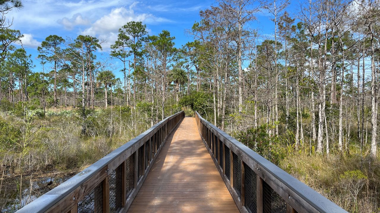 Explore nature during FWC's 'Florida WildQuest 2024' event