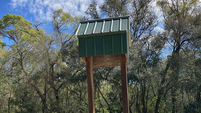 FWC shares do's and don'ts during bat maternity season