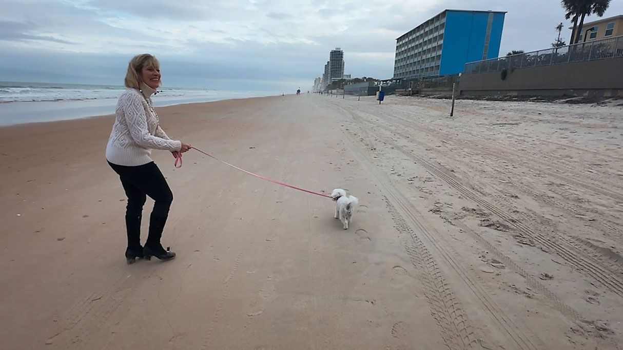 'Dogs on the beach pilot program' receives $100k donation