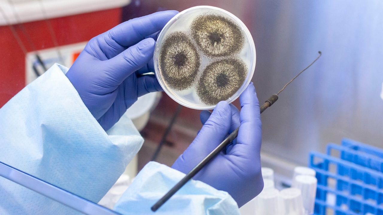 public health lab funding