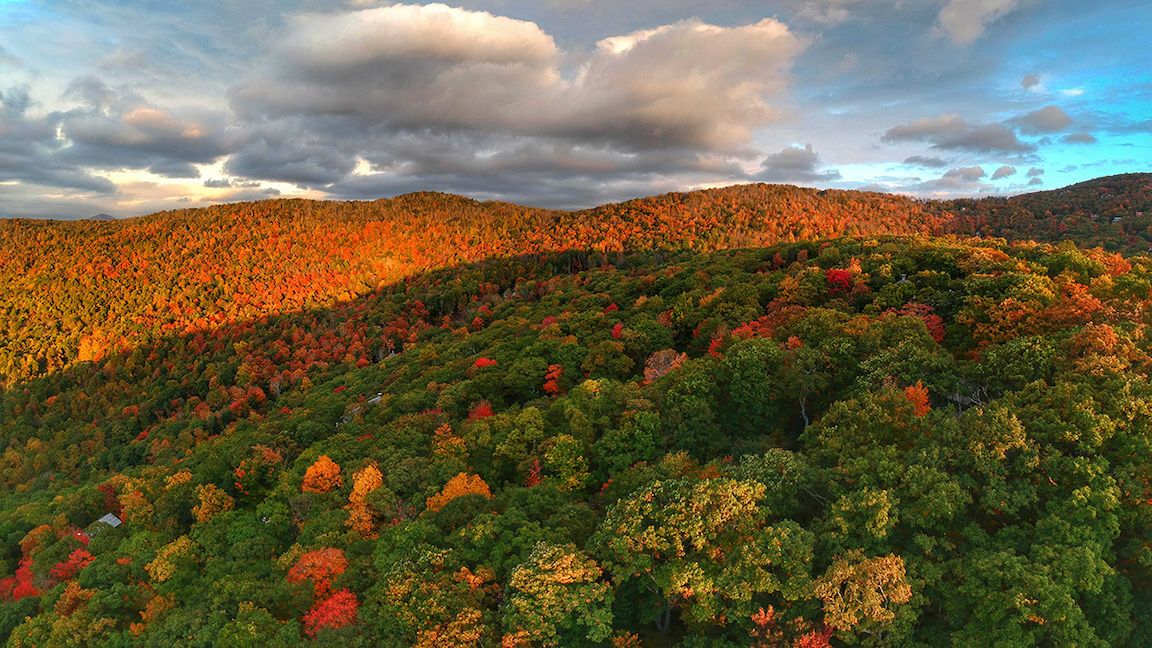 Finding the best fall foliage in N.C.
