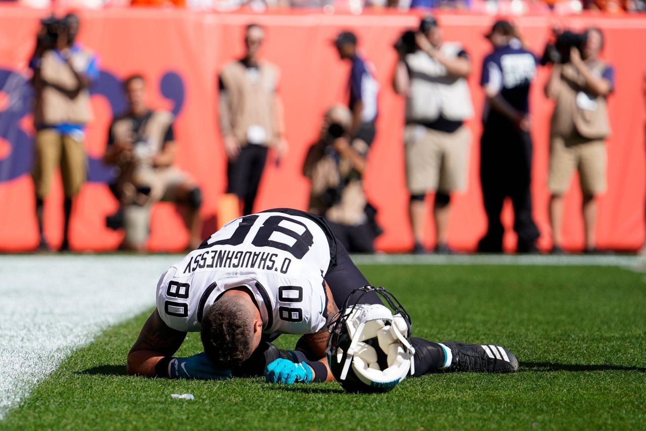 Sprains, strains and ACL tears. What to know about some of the NFL's ...
