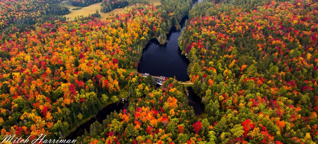 Fall Foliage This Weekend