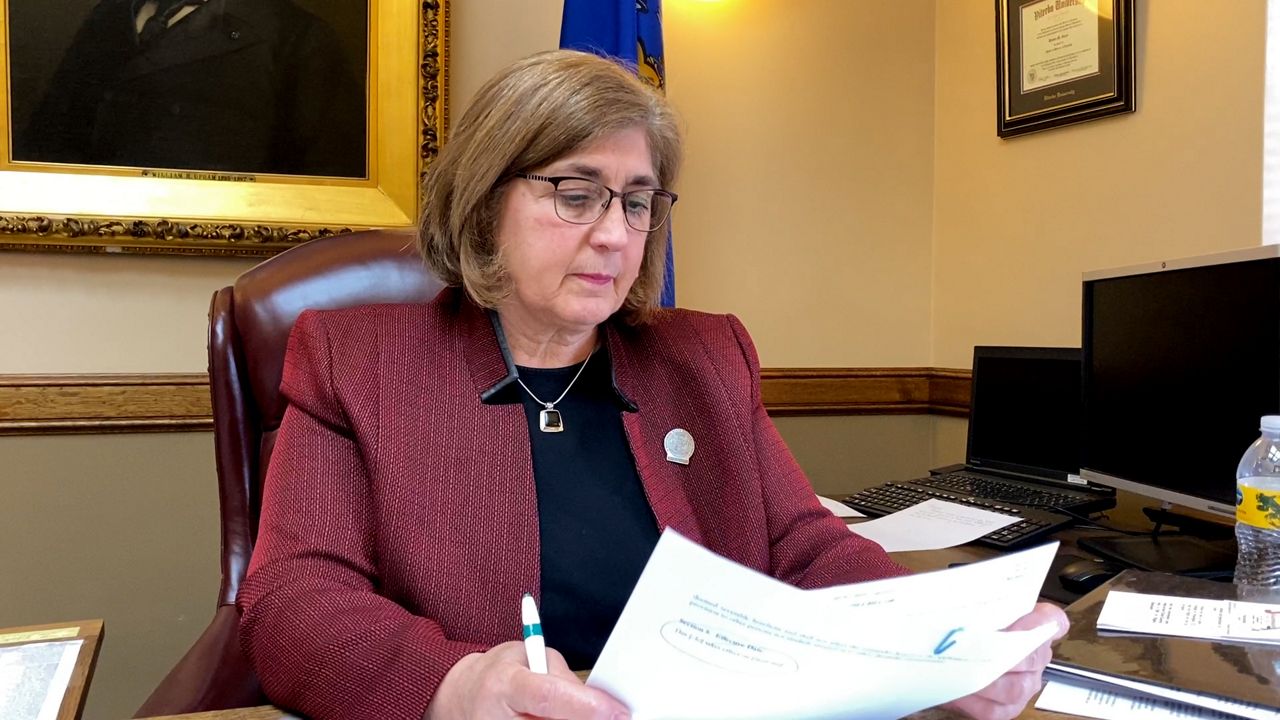 Two nurses become state lawmakers amid a pandemic