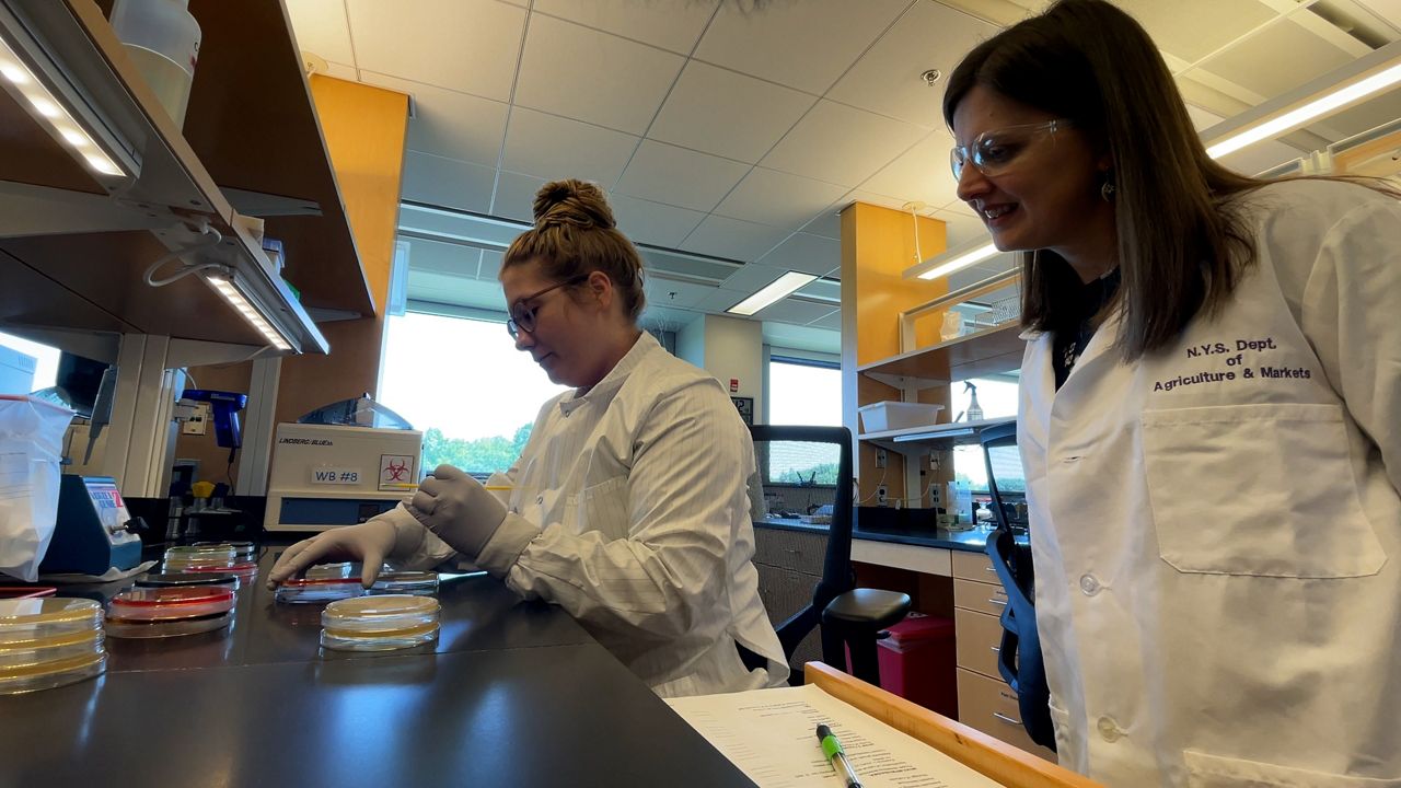 NY ramps up food testing amid calls for stricter standards