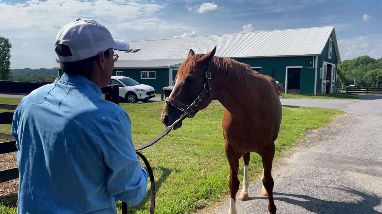Shaping New York's $3 billion horse racing industry