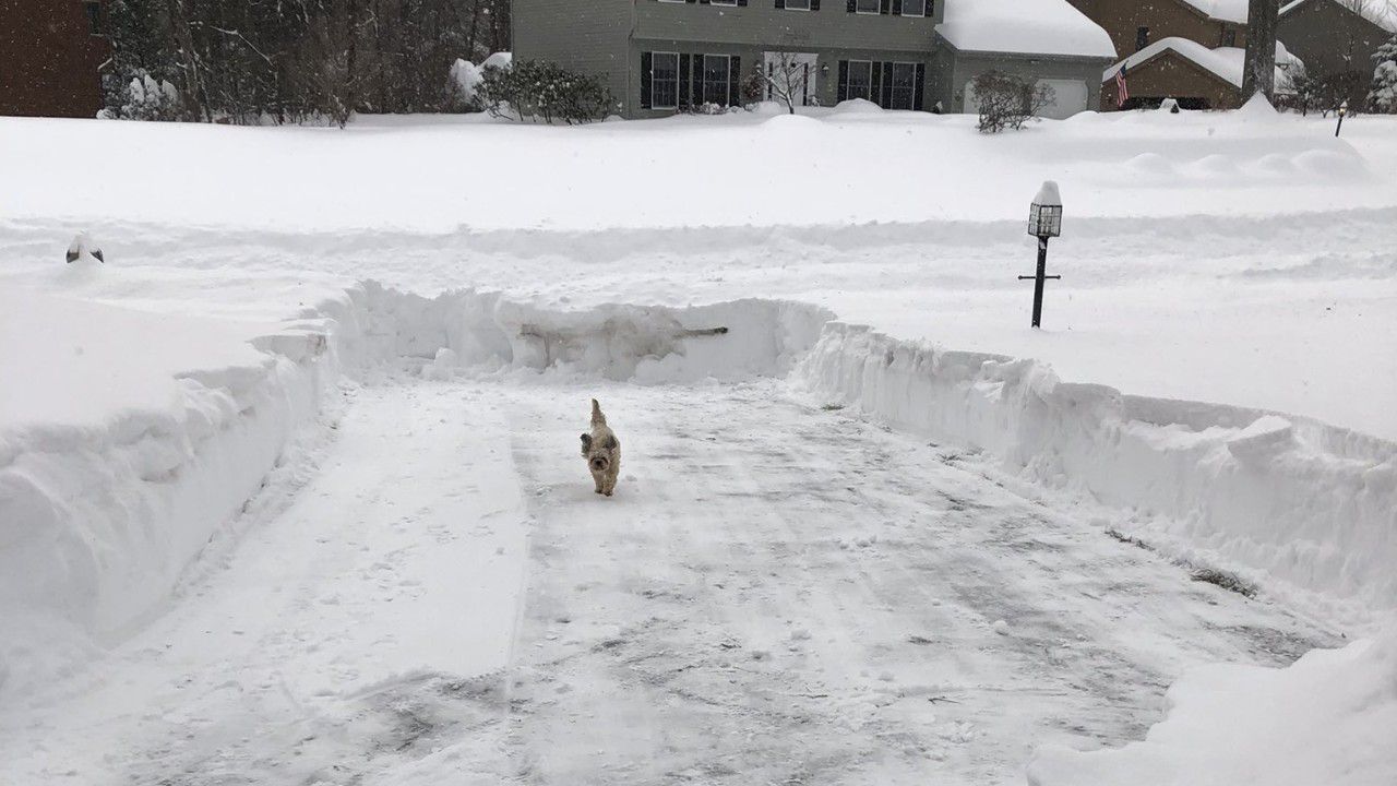 Photos: Feet of Snow Pile Up Across Northeast