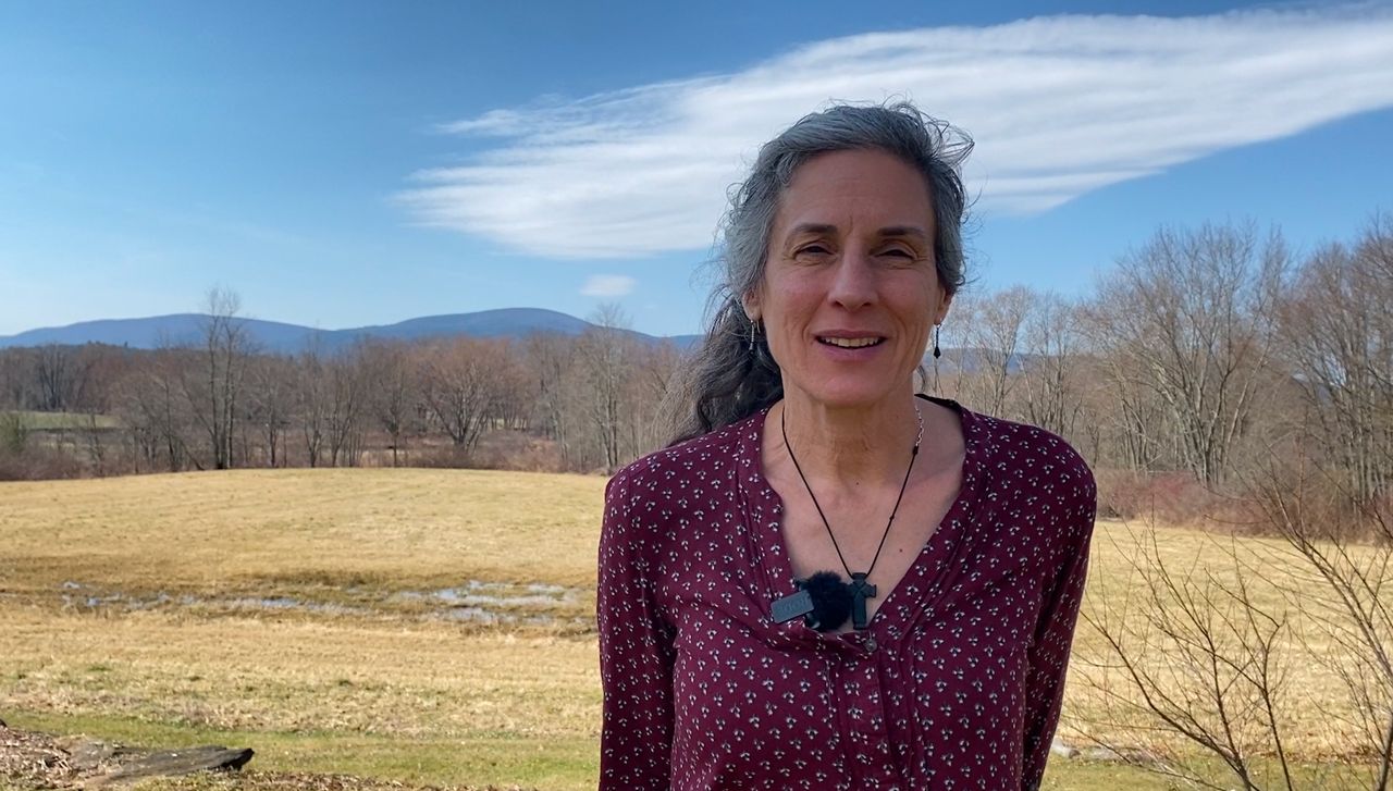 Nadia Milleron is running for Congress