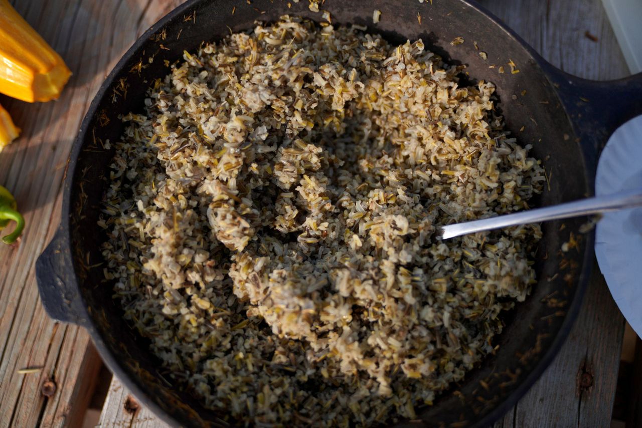 Minnesota Ojibwe harvest sacred, climate-imperiled wild rice