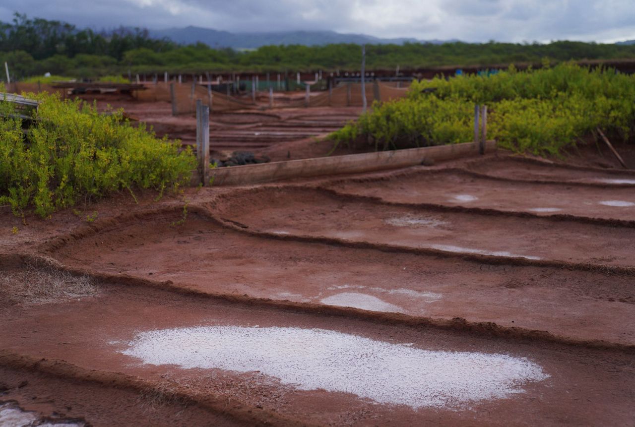 How Native familes make salt at one of Hawaii's last remaining salt patches