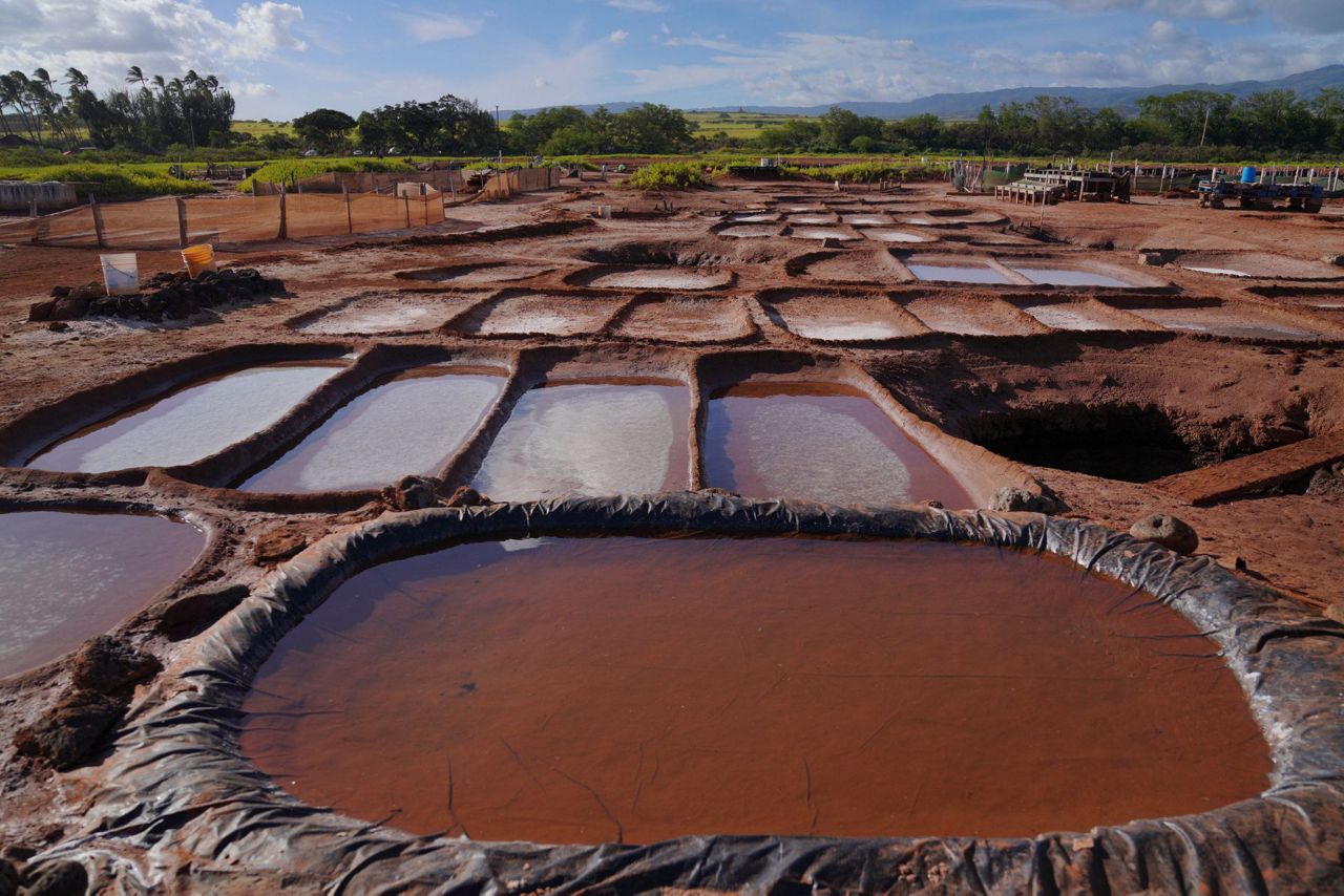 Native Hawaiian salt makers combat climate change and pollution to ...