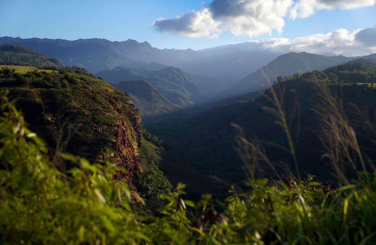 Native Hawaiian salt makers combat climate change and pollution to ...