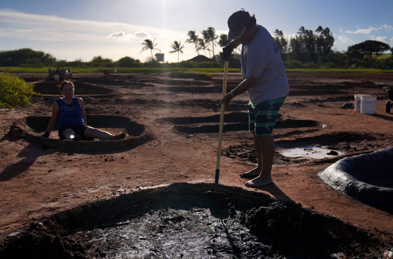 Native Hawaiian salt makers combat climate change and pollution to ...