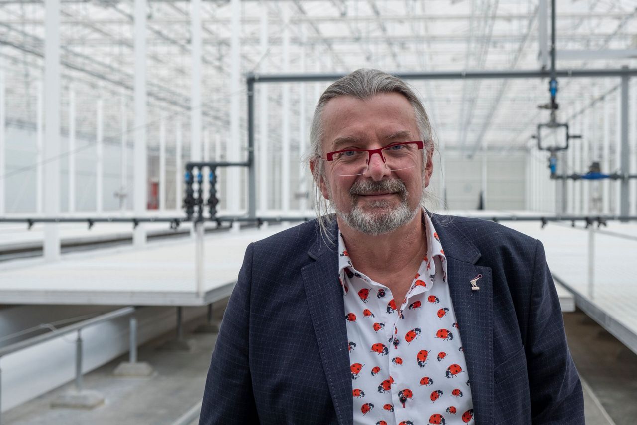Drones vs moths: Dutch company tech solution to kill moths