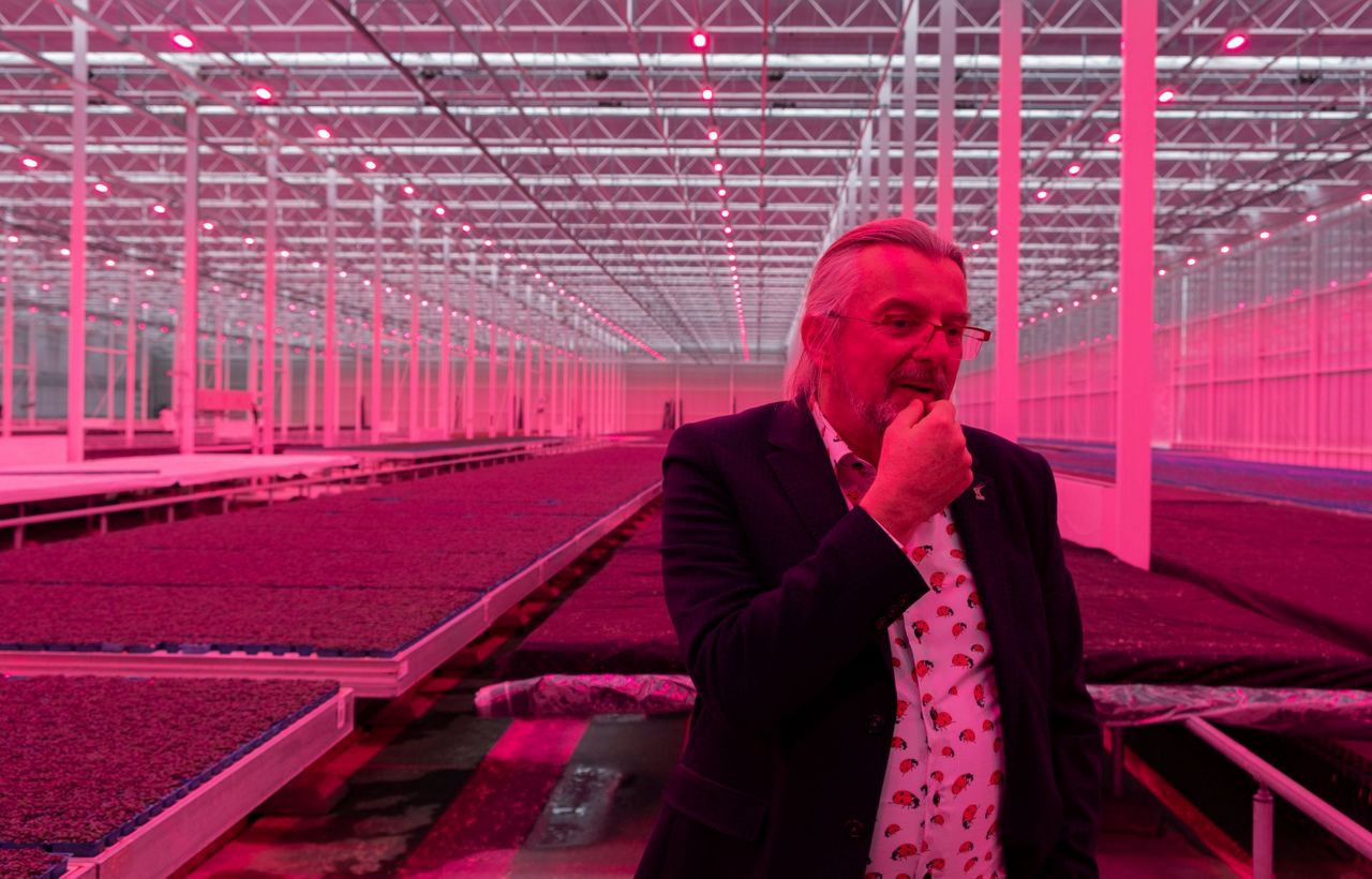 Drones vs moths: Dutch company tech solution to kill moths