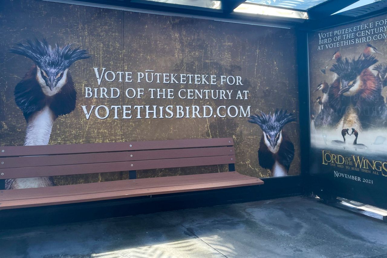 John Oliver's campaign for puking mullet bird delays New Zealand vote ...