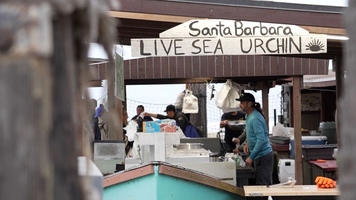Newport's Dory Fish Market carries on tradition