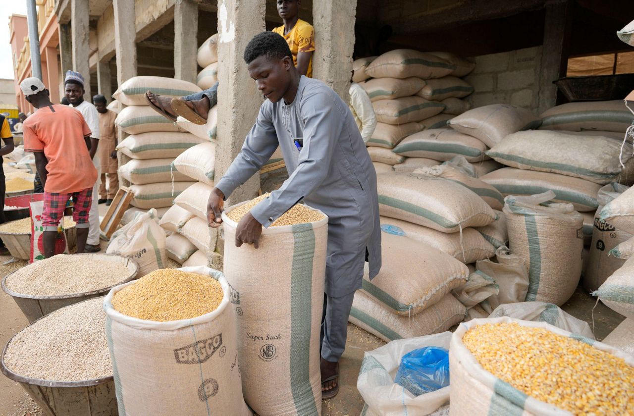 Climate and violence hobble Nigeria's push to rely on its own wheat ...