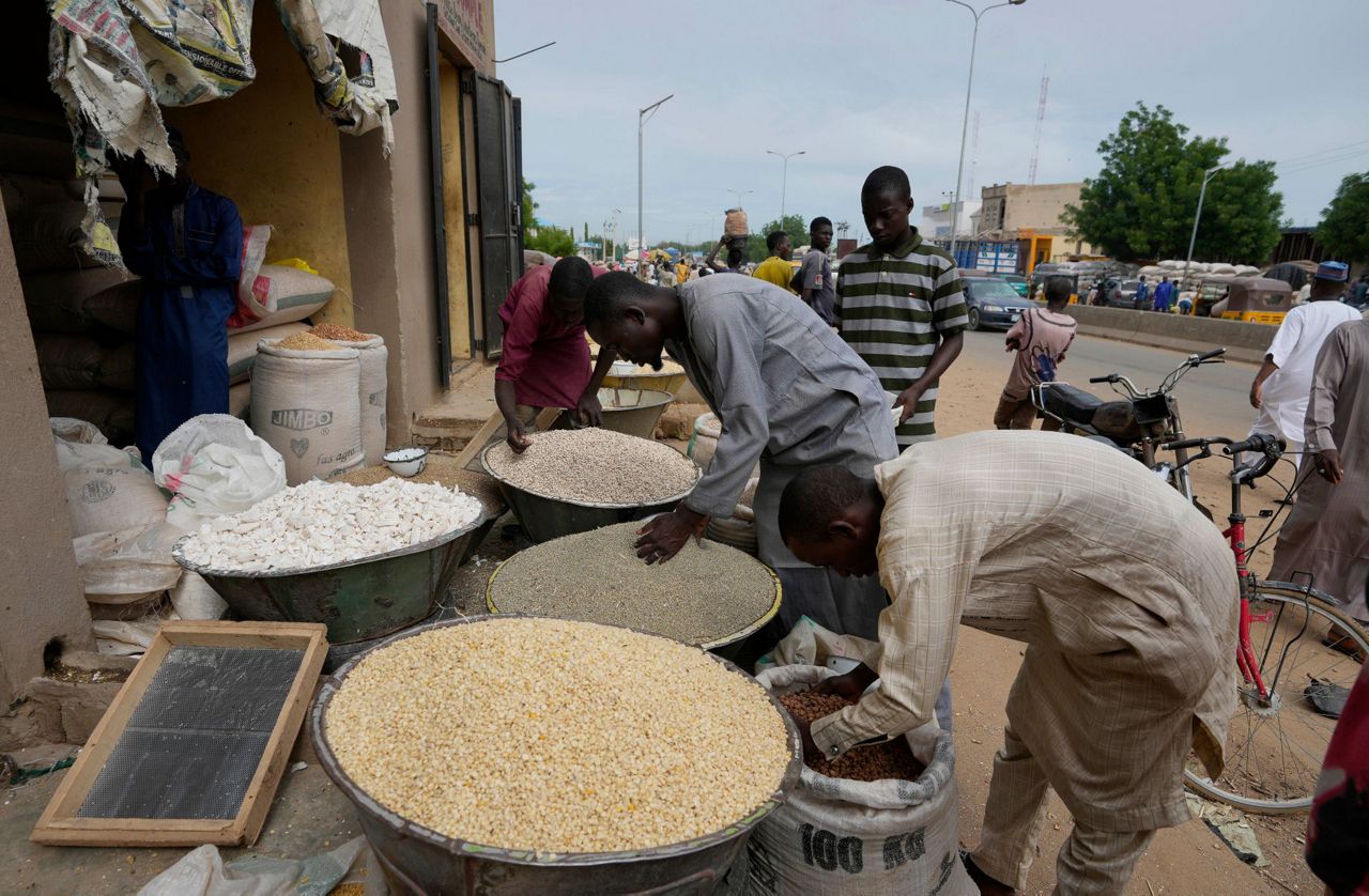 Climate and violence hobble Nigeria's push to rely on its own wheat ...