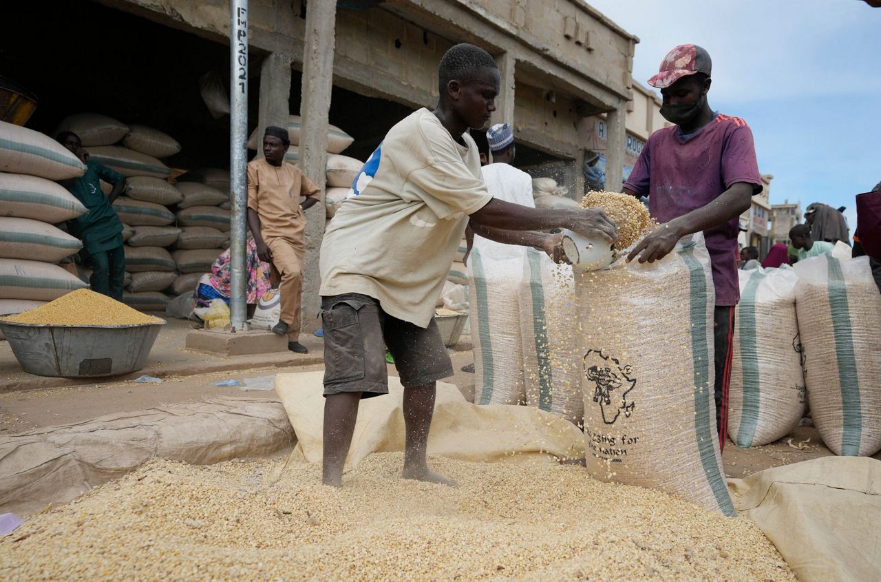 Climate and violence hobble Nigeria's push to rely on its own wheat ...