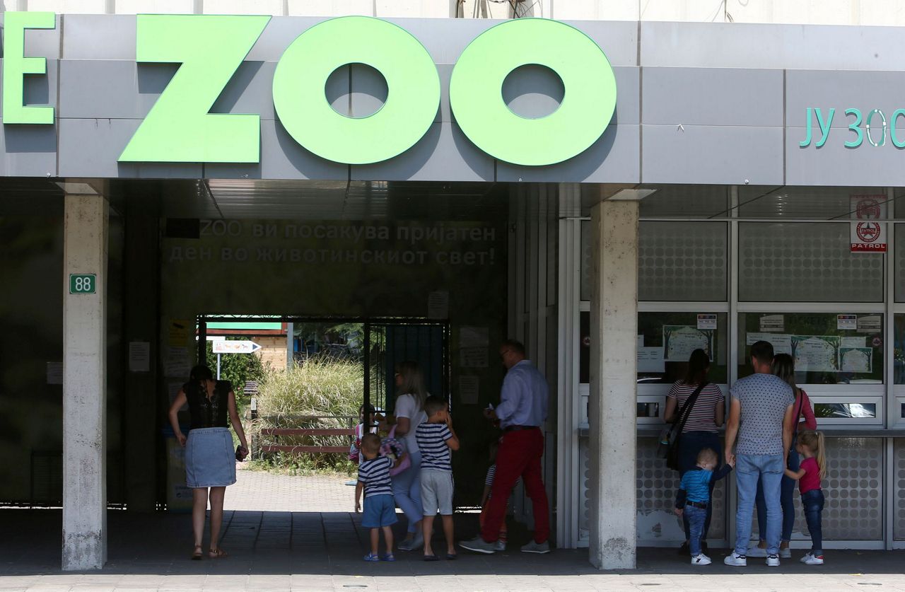 Skopje zoo's chimp returns after recovering from depression