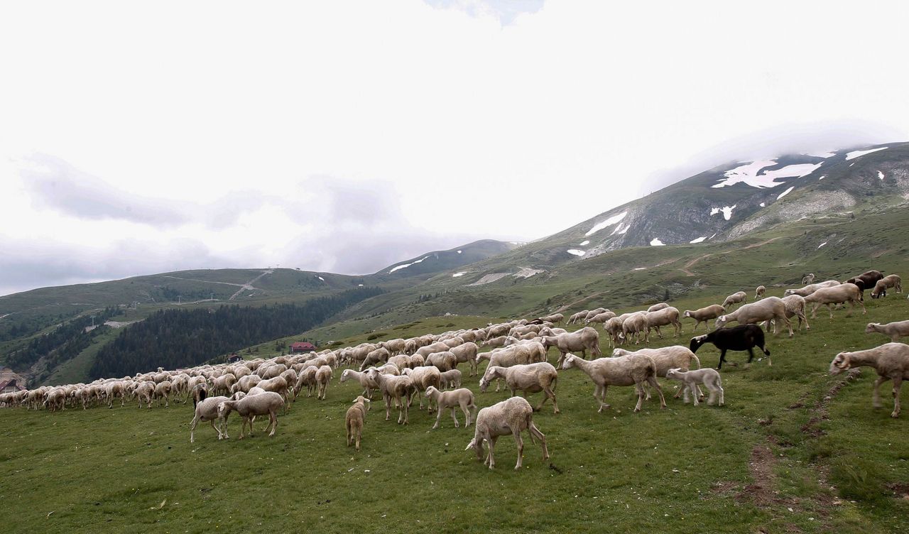 North Macedonia ready to create huge new national park