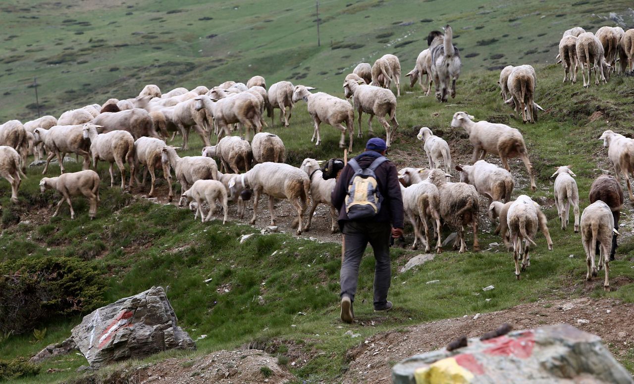 North Macedonia ready to create huge new national park