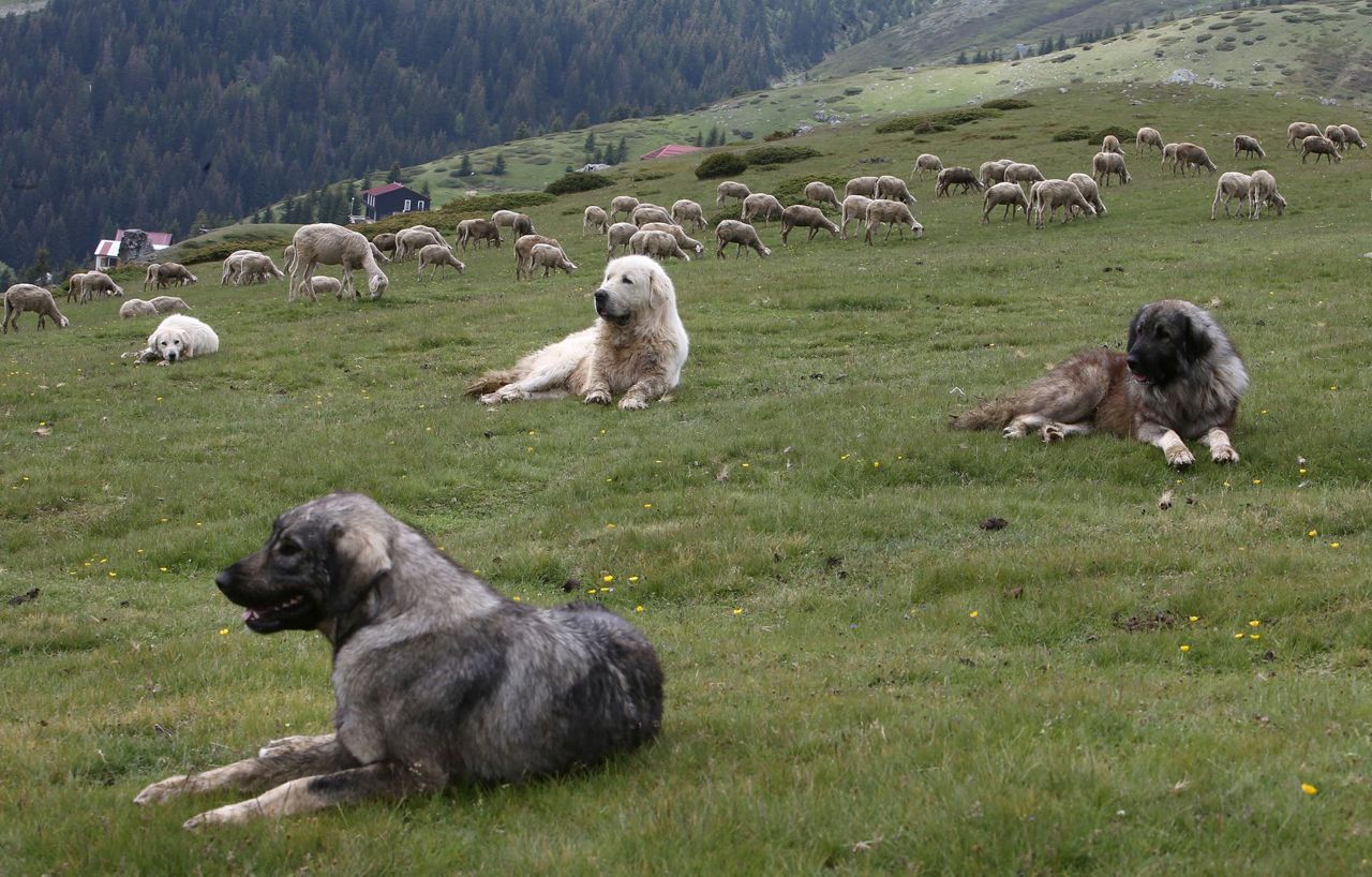 North Macedonia ready to create huge new national park