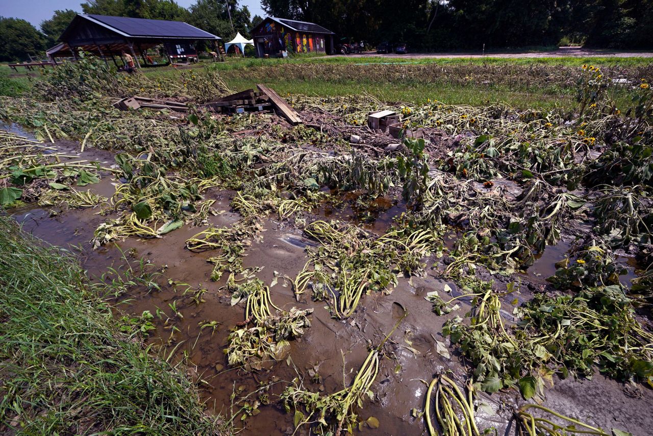 Northeast floods devastate 'heartbroken' farmers as months of labor and ...
