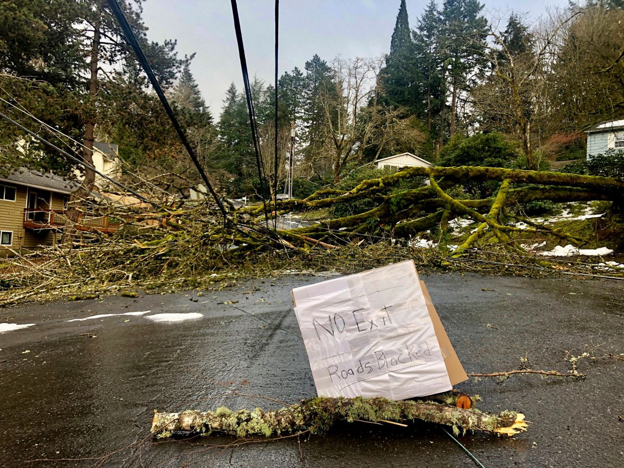 Oregon power outage: 'Most dangerous conditions' ever seen