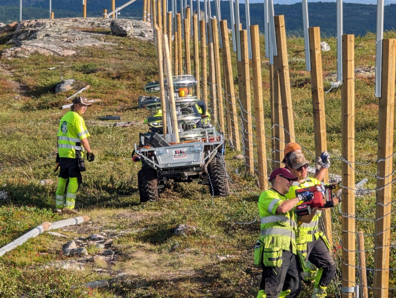 Norway is rebuilding a reindeer fence at the border to stop the animals ...
