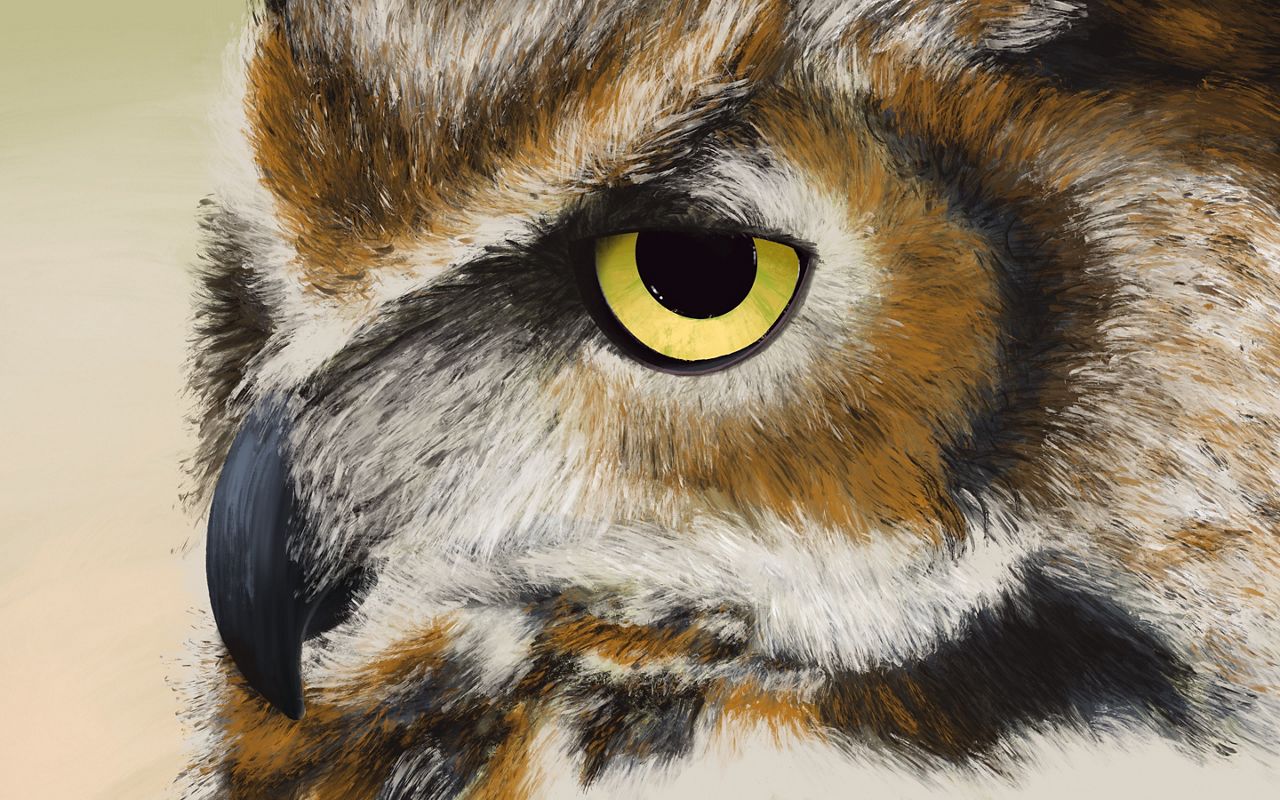 ODNR displays contest winners at state fair