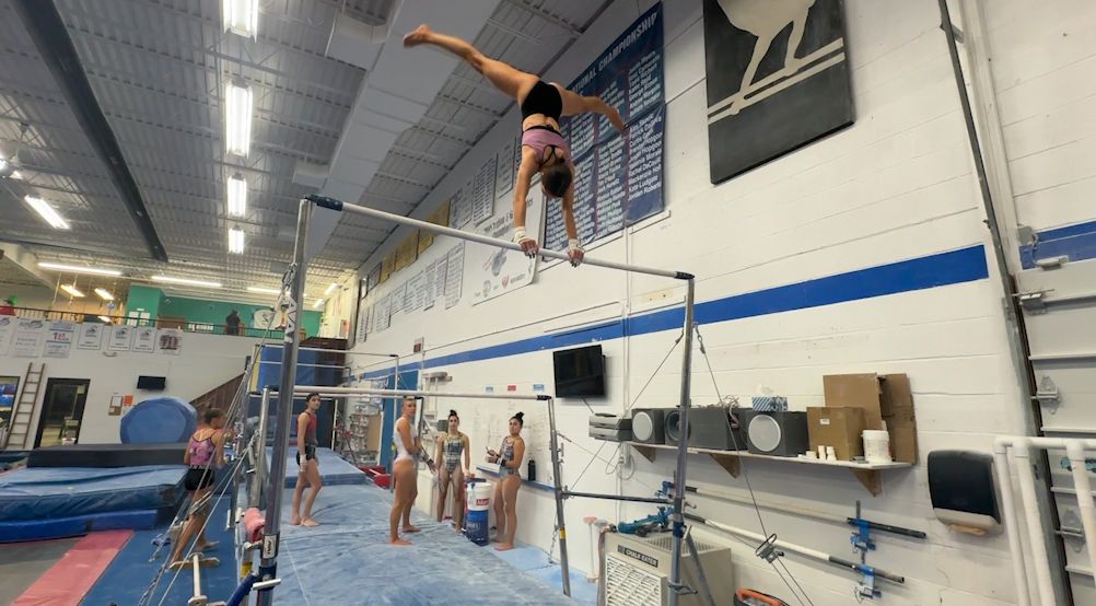 Brecksville-Broadview Heights gymnastics state championship