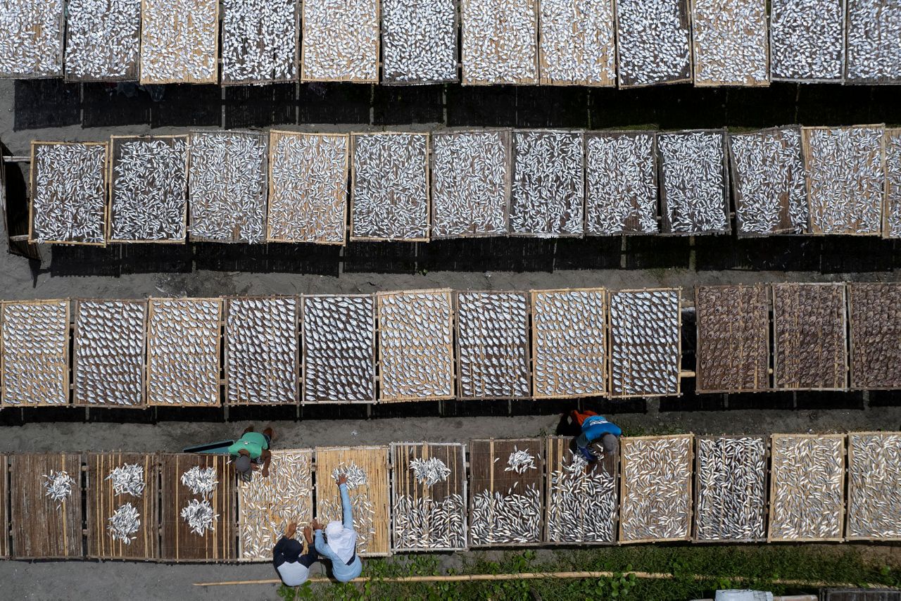 Philippines tries to bring back small fish key to rural diet