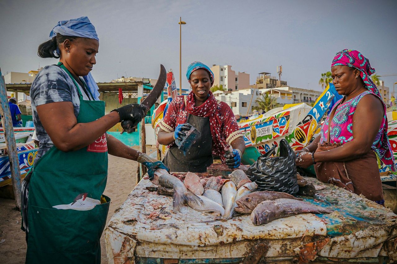 Senegal struggles with loss of fish central to diet, culture