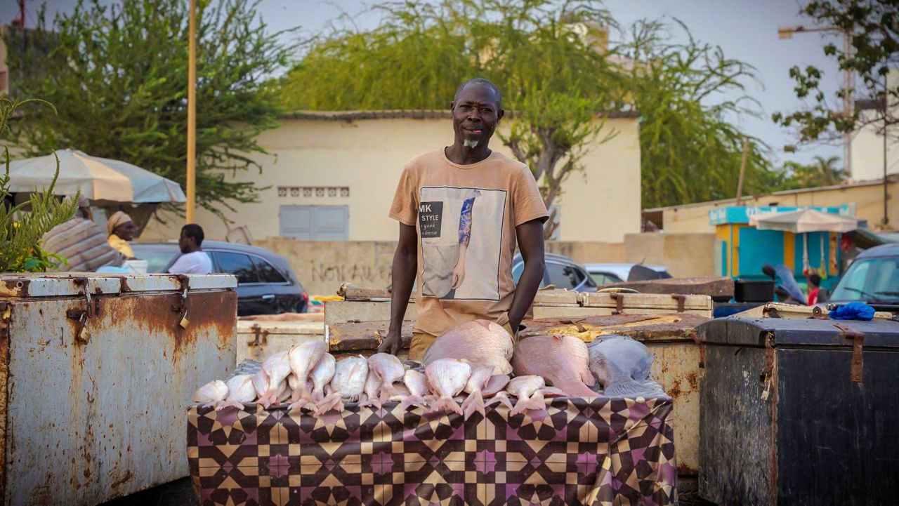 Senegal struggles with loss of fish central to diet, culture