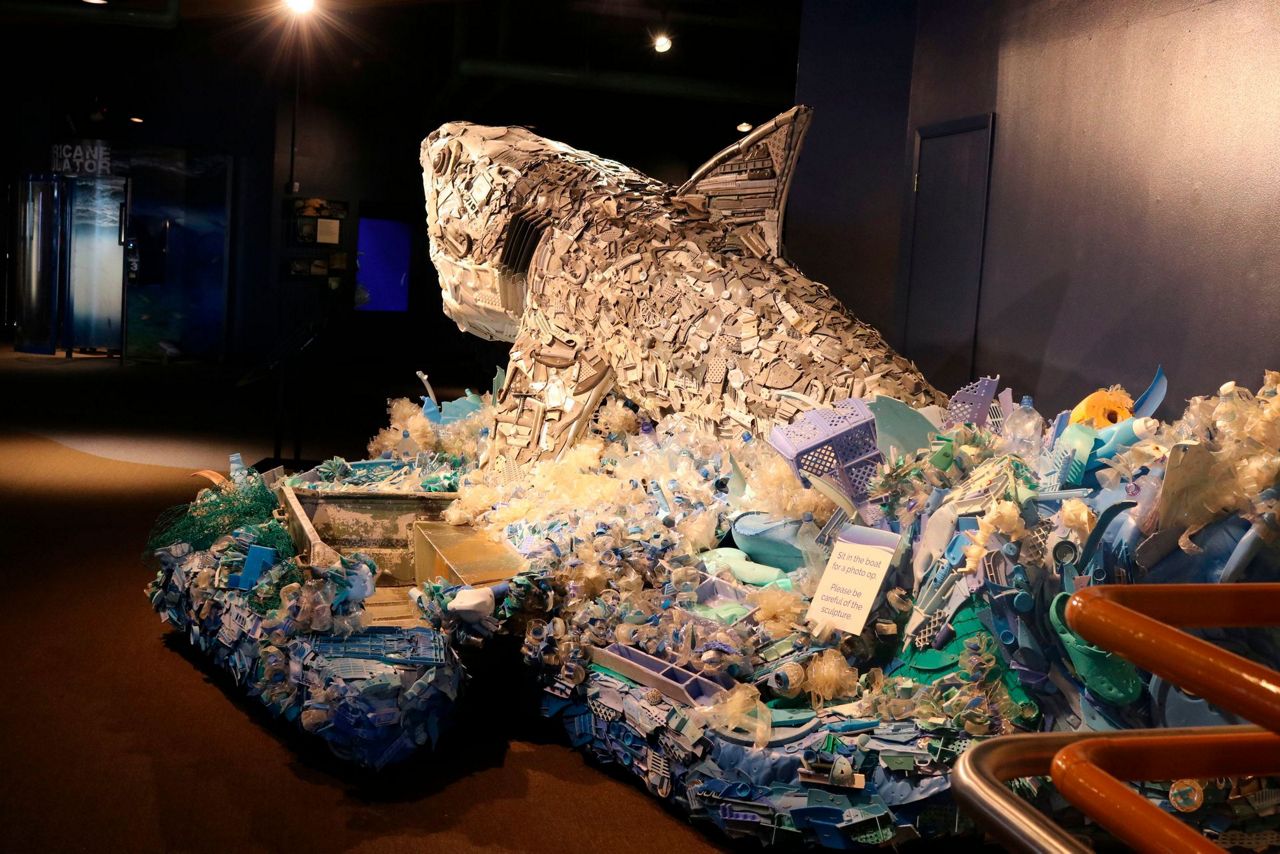 Huge sea-life sculptures made from ocean's plastic trash