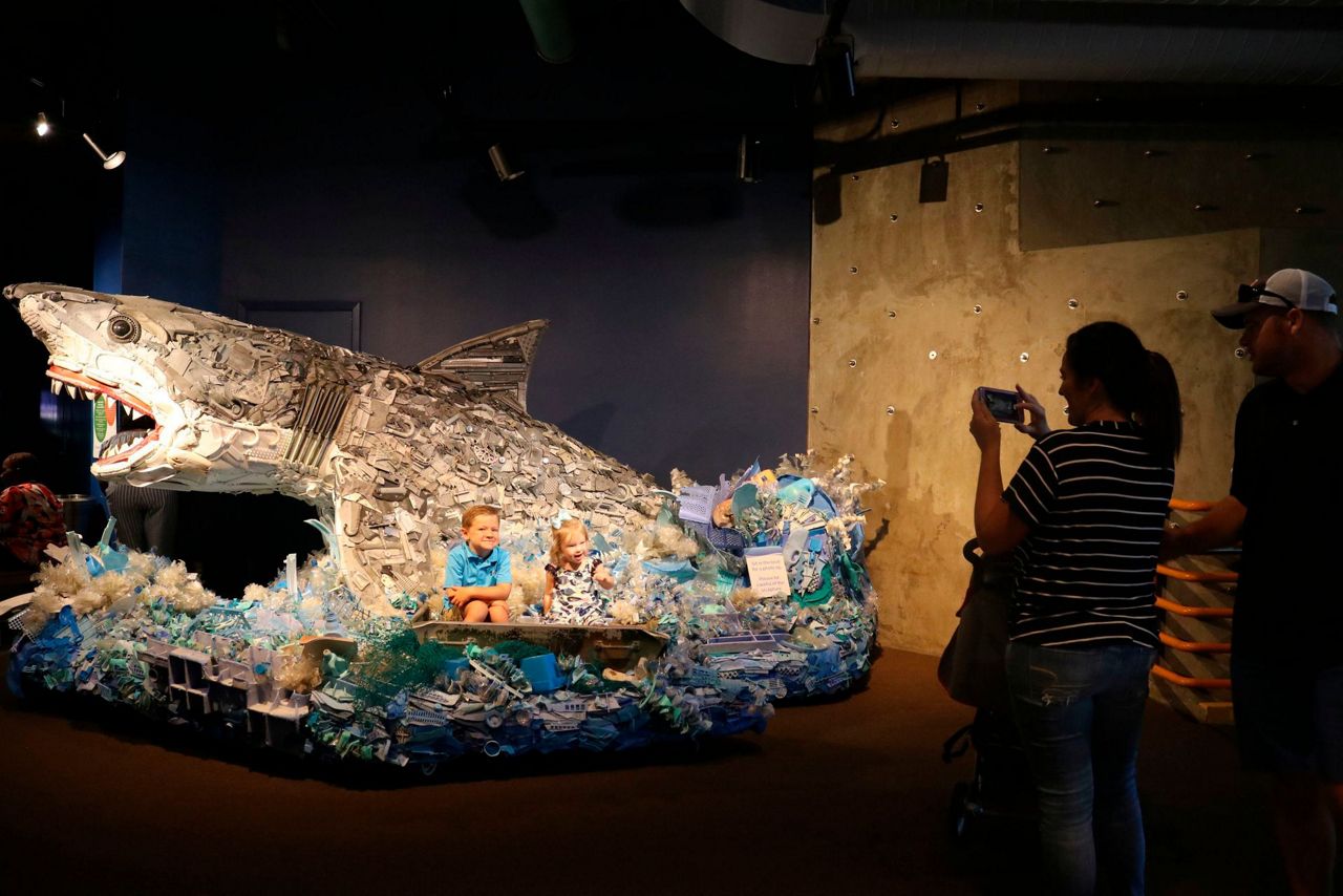 Huge sea-life sculptures made from ocean's plastic trash