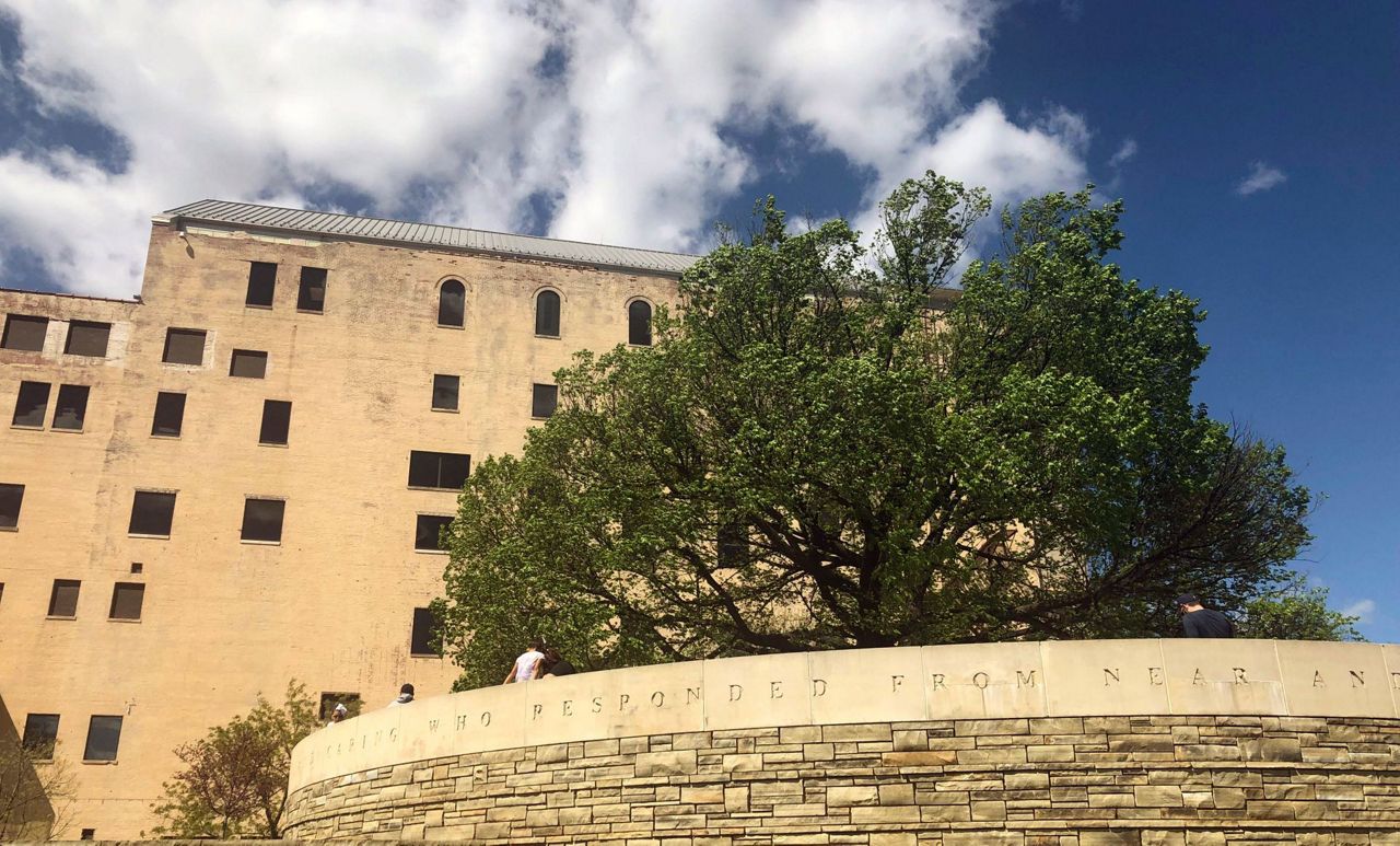 Oklahoma City bombing 'Survivor Tree' DNA to live on