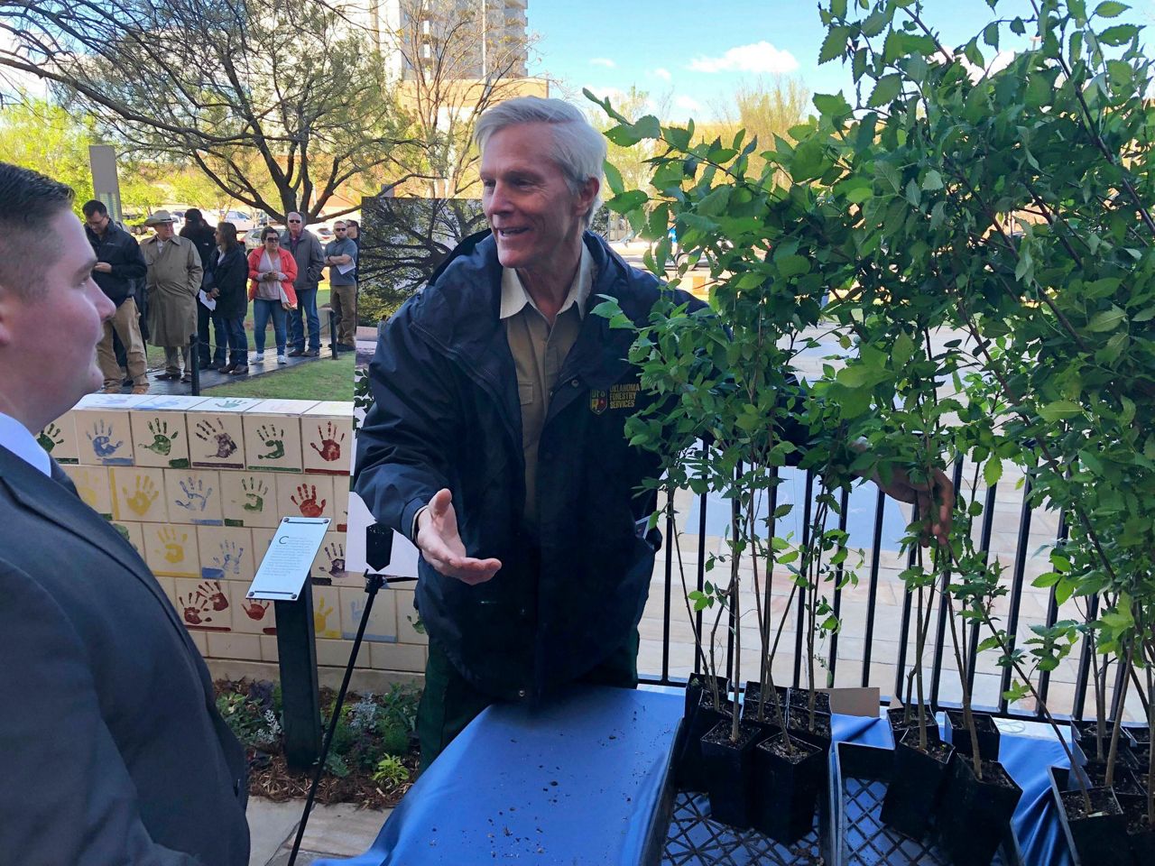 Oklahoma City bombing 'Survivor Tree' DNA to live on
